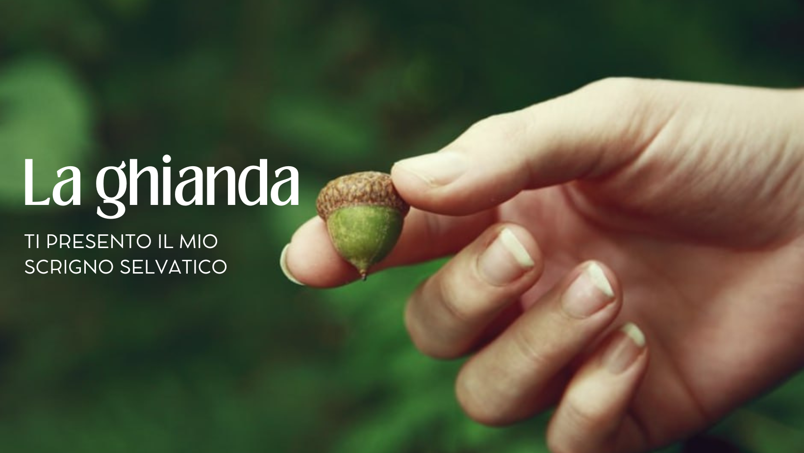 La ghianda – Scuola selvatica – Onirika Viridis